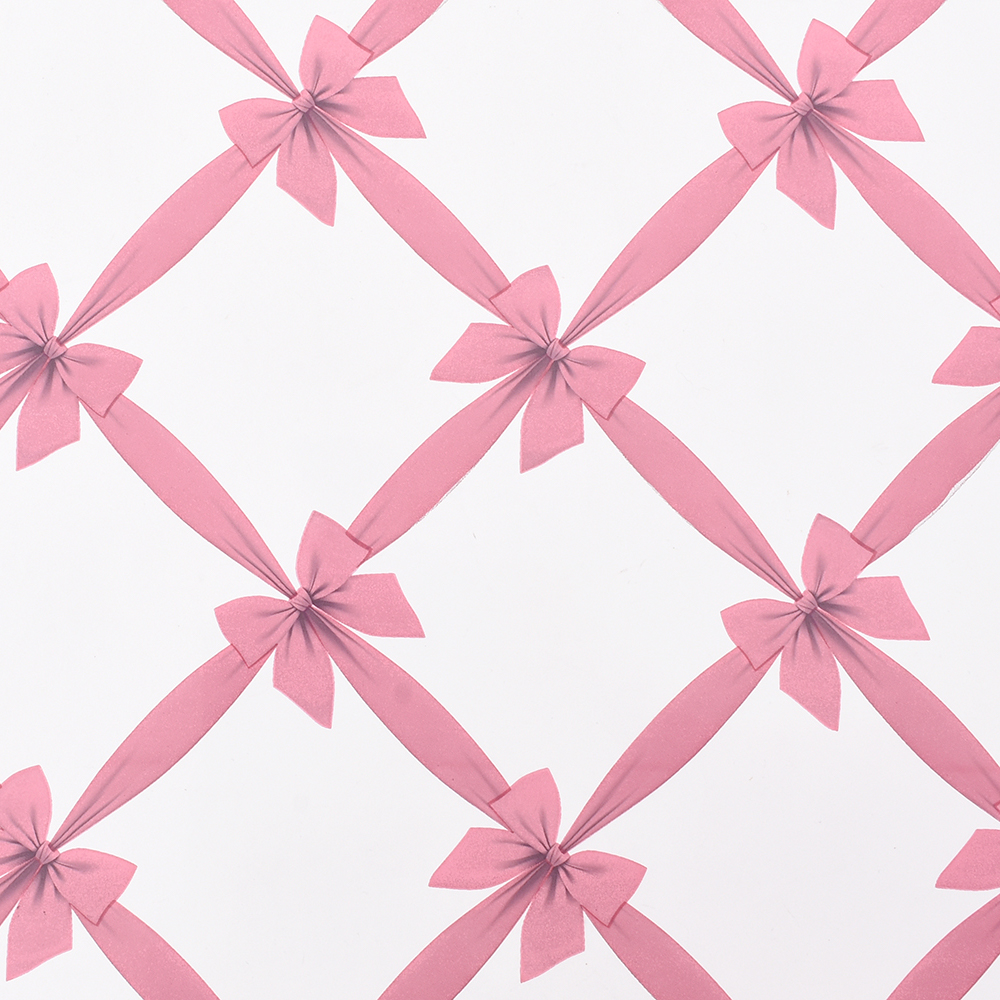 Casolaro Hotellerie Spa | Set 50 Fogli Cellophane fiocco rosa