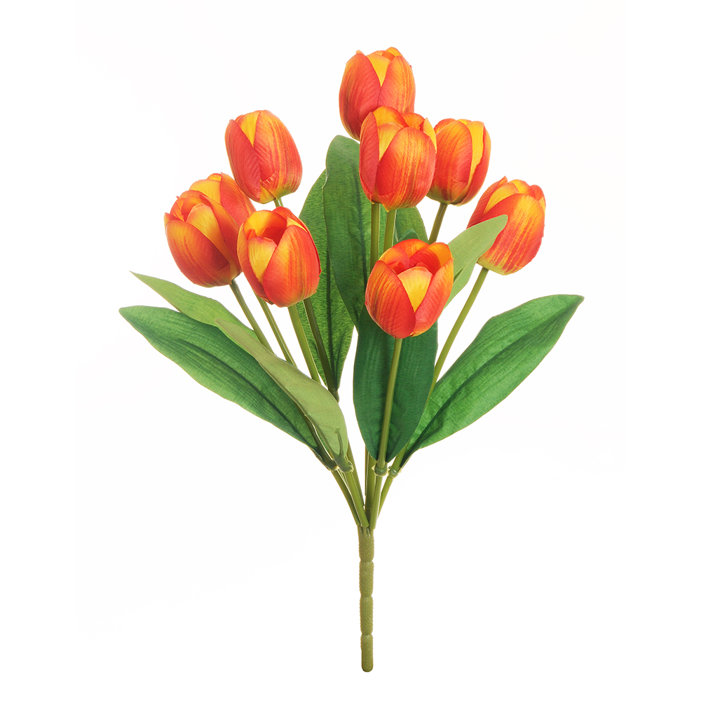 Casolaro Hotellerie Spa | Band 9 tulips
